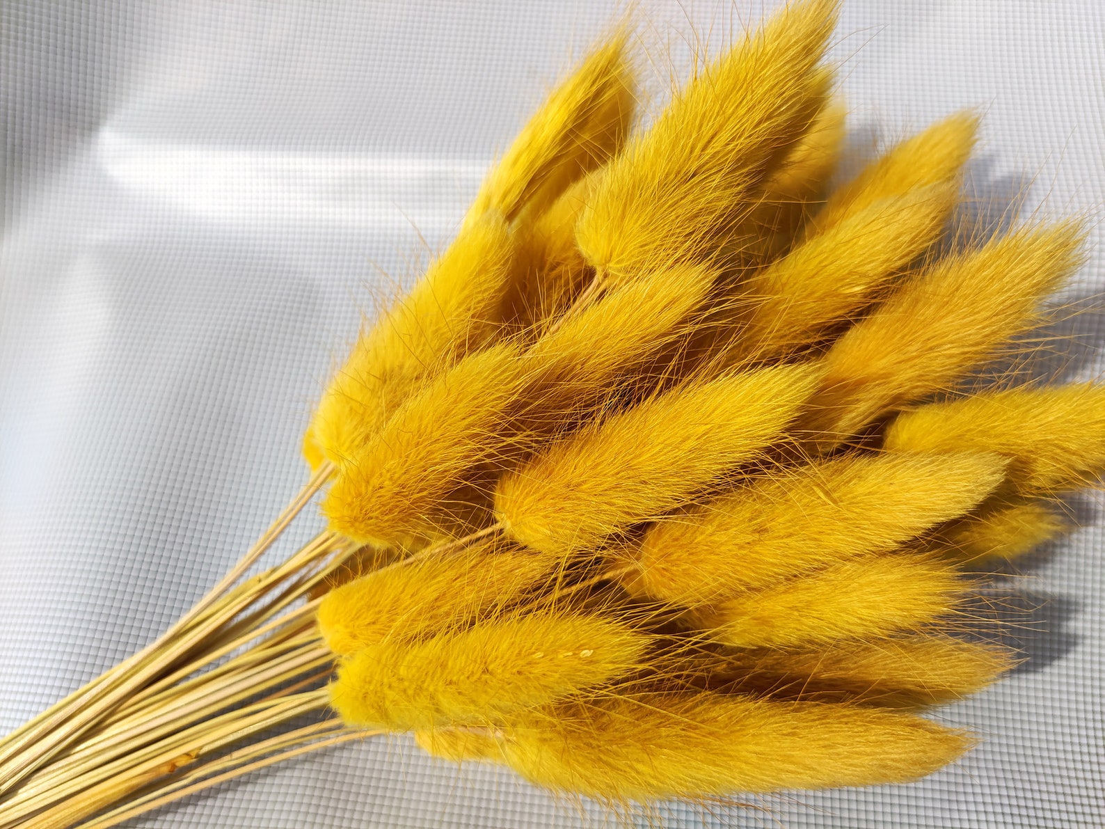 Dark Mustard Yellow Bunny Tails Bouquet，natural Dried Lagurus Ovatus ...