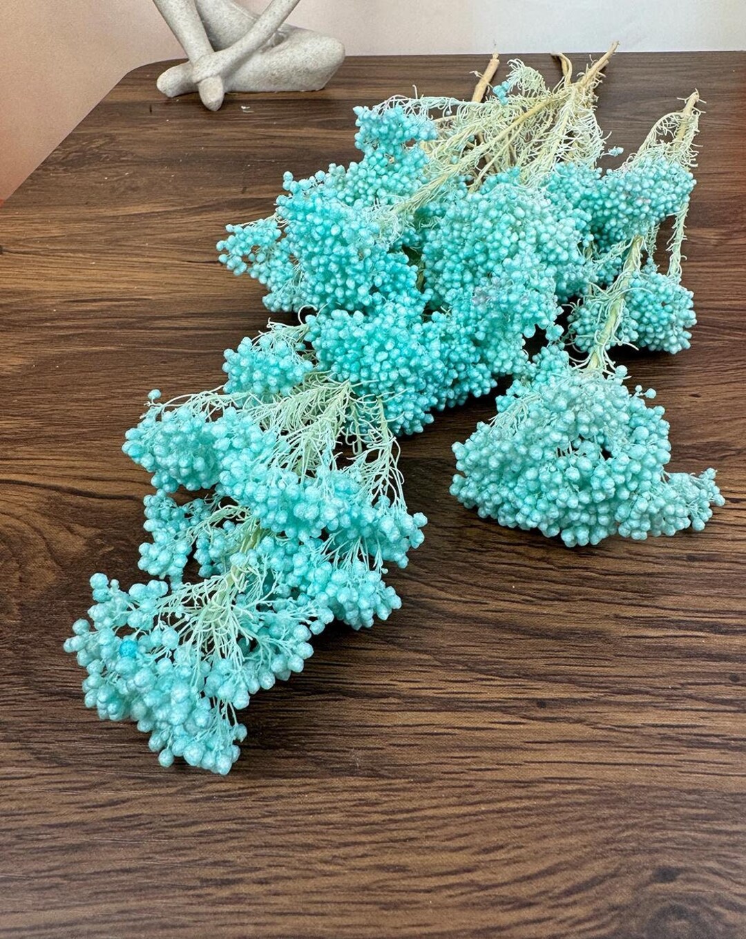 Preserved Fu Blue Flowers Bundlenatural AUS Rice Flowerdriflower ...