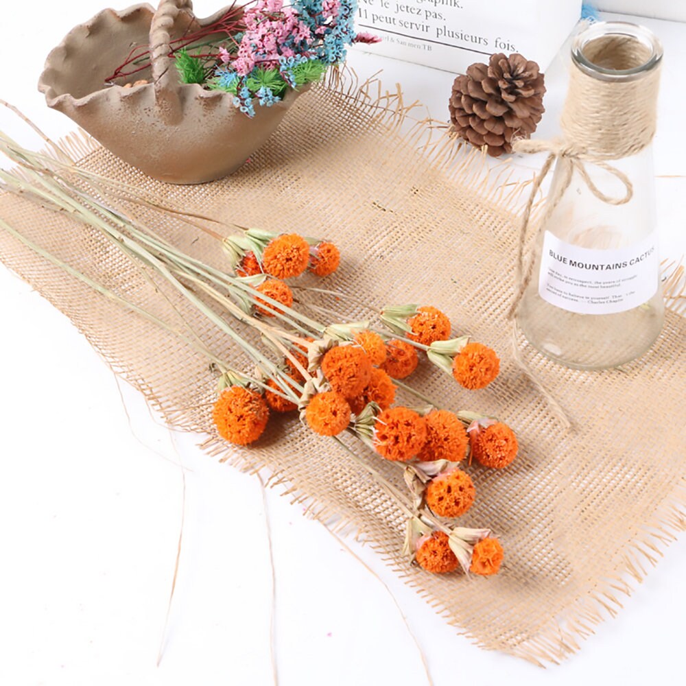 Dried Maple Fruit Flowers Brancheshandmade Flowers | Etsy