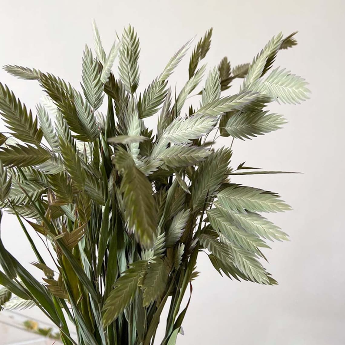 Natural Grass Bundlespecial Grass Branchesdried Flowers - Etsy