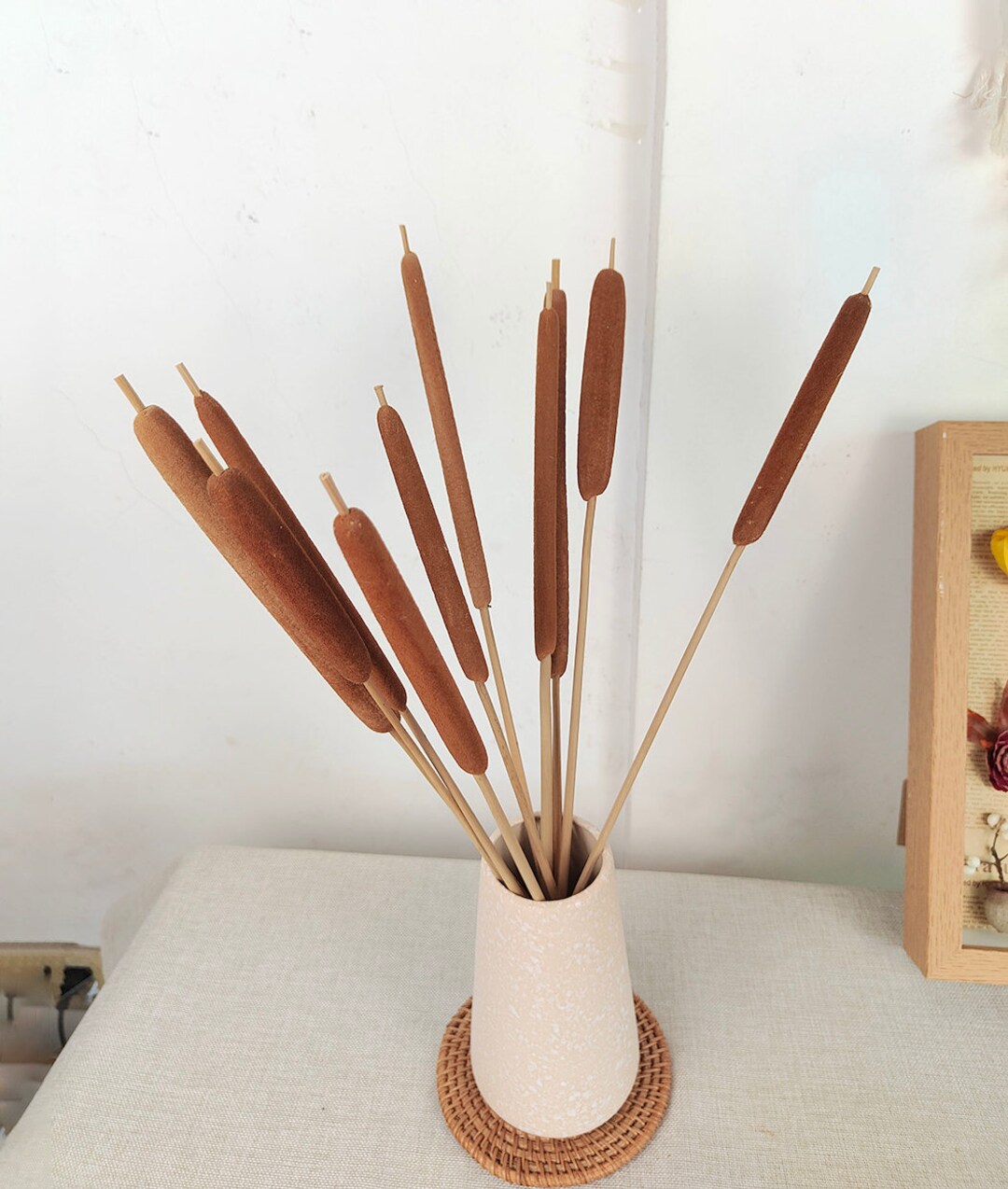 10/25 Natural Jumbo Cattails, Dry Pencil Cattail Bunch,dried Flower ...