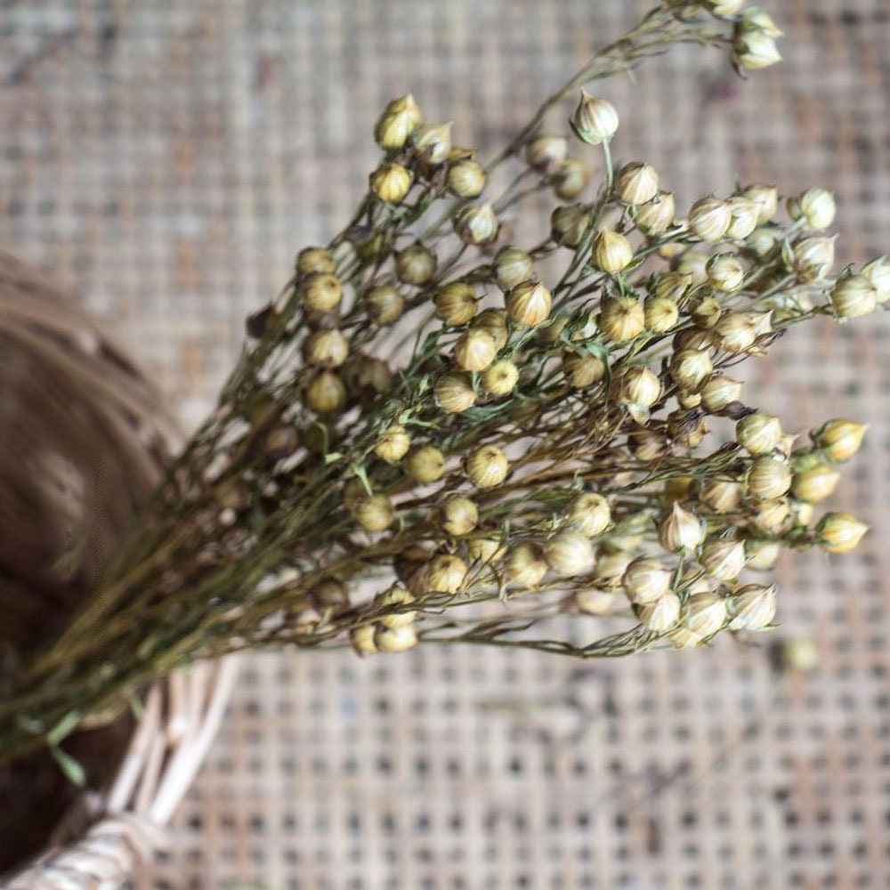 Dried Flax Fruits Bouquetdried Flowers Arrangementdried | Etsy