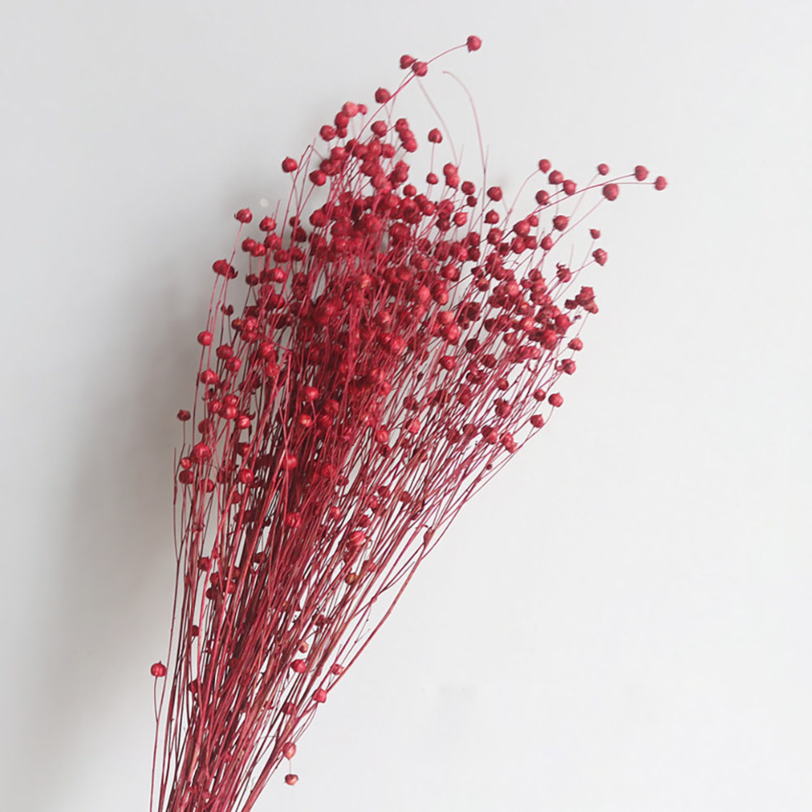 Dried Flax Fruits Bunch，off-white Flax Fruits Branches，dried Flower ...