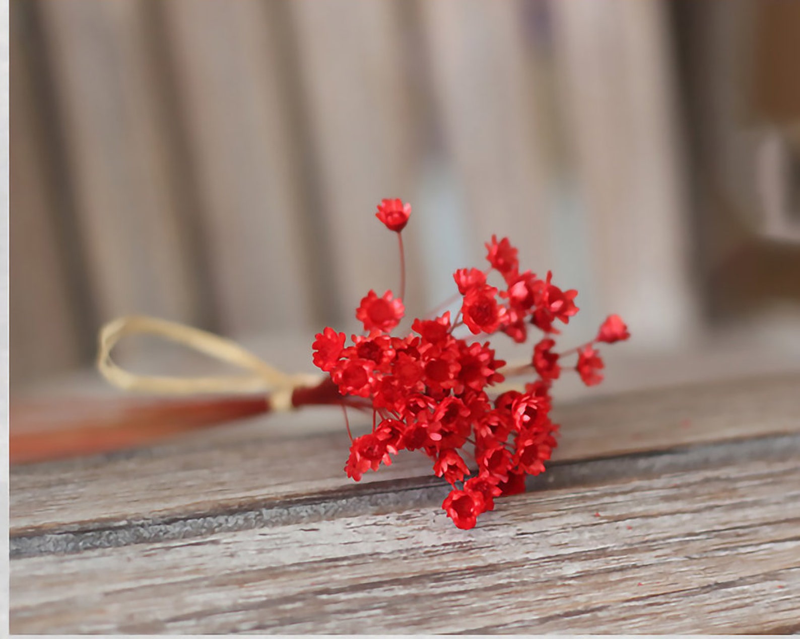 200 Pcs Little Star Flower Small Daisybabys Breathdried - Etsy