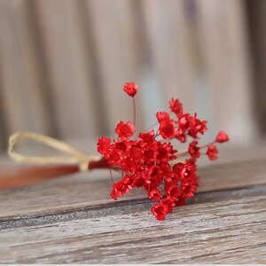 200 Pcs Little Star Flower Small Daisybabys Breathdried - Etsy