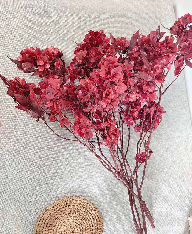 Red Butterfly Flower Bunch，dried Flower for Vase Filler，dried Flower ...