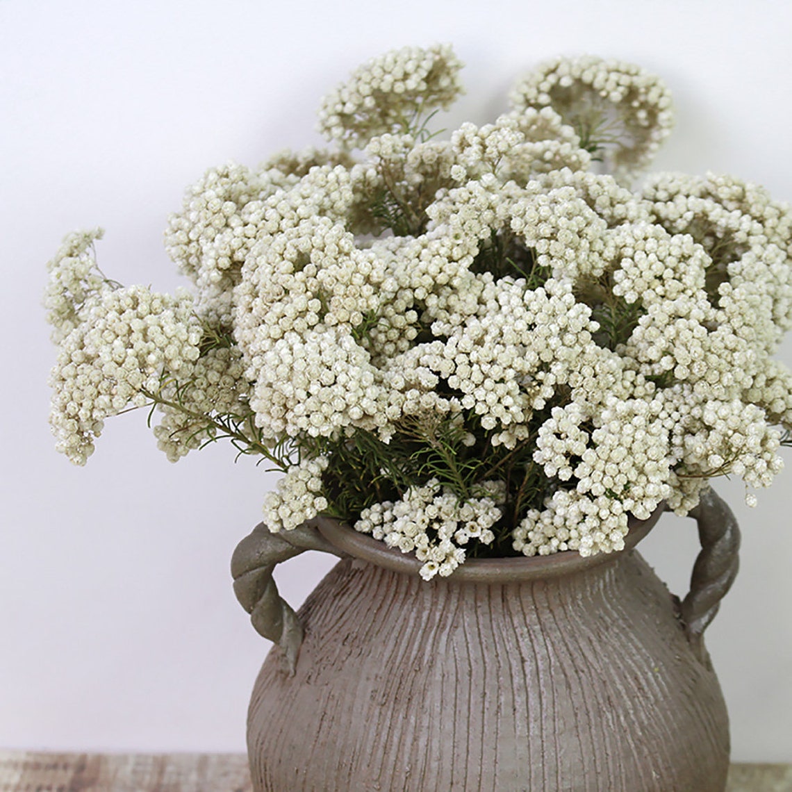 Preserved AUS Rice Flowers Bunchnatural Flowers Bouquetdry - Etsy