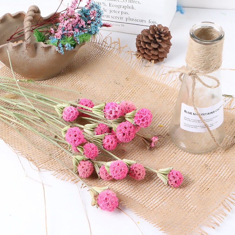 Dried Maple Fruit Flowers Brancheshandmade Flowers | Etsy