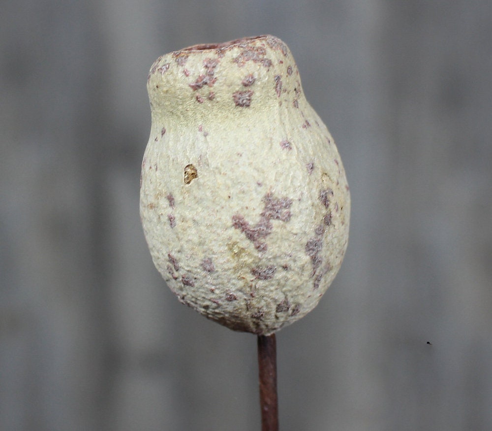 Strange Pea Shooter Brancheshandmade Flowers Branchesdried | Etsy