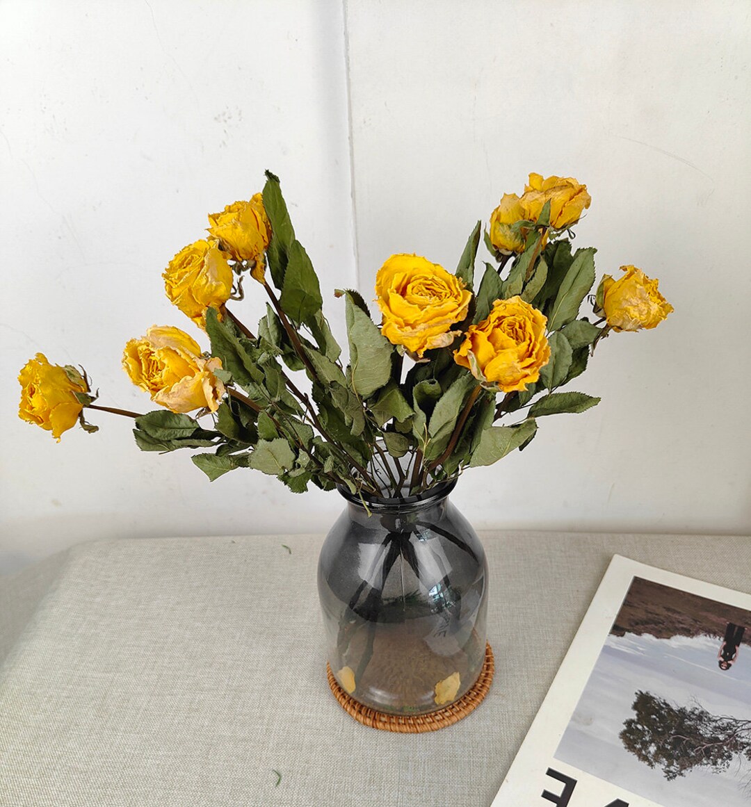 Dried Natural Rose With Stem，10pcs Dry Rose Flower，yellow ＆red Roses ...