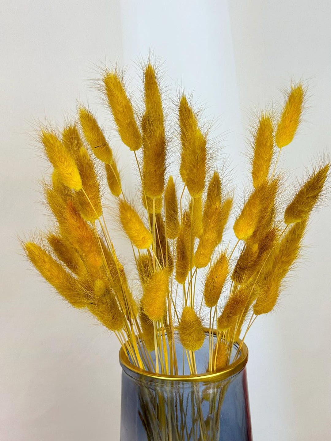 50 Pcs Dry Mustard Yellow Lagurus Grass, Dry Grass Bundle, Natural ...
