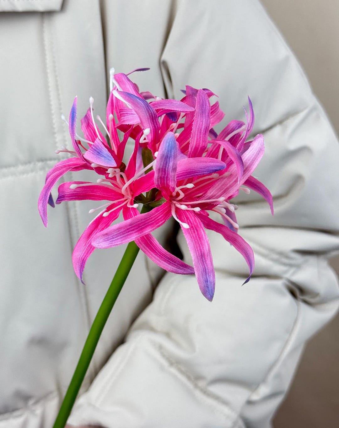 Artificial Pink Lycoris Radiata Stems, Fake Red Spider Lily, Flowers ...