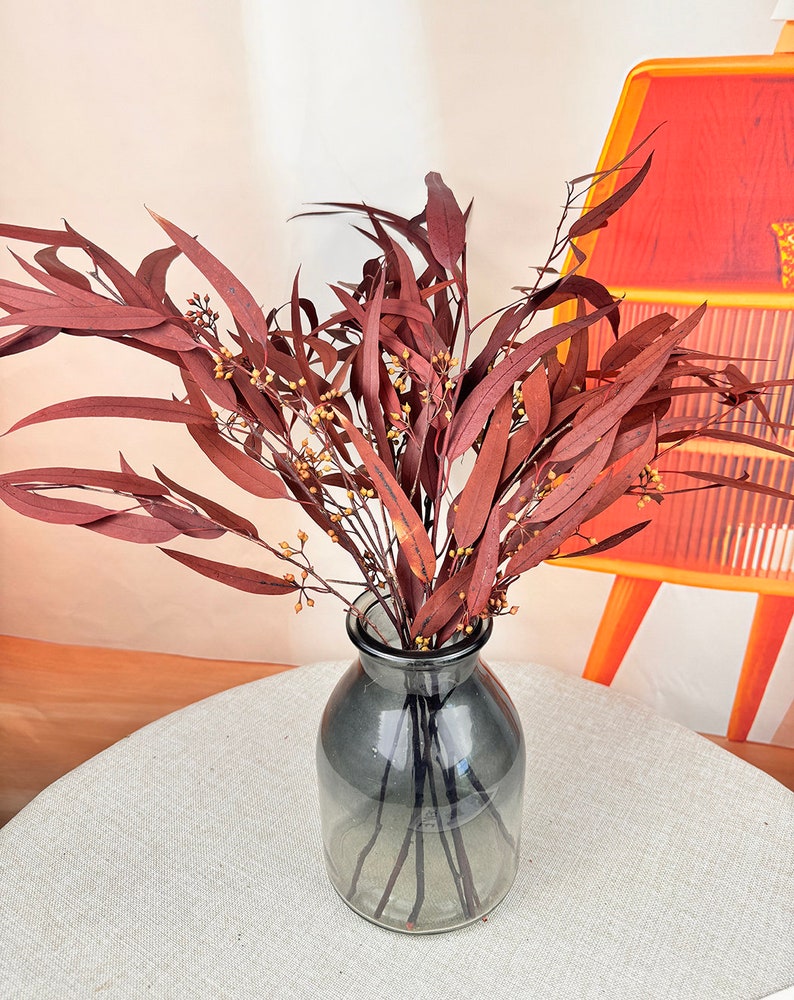Preserved Eucalyptus Leaves Bundle，dried Eucalyptus Branches，dried ...