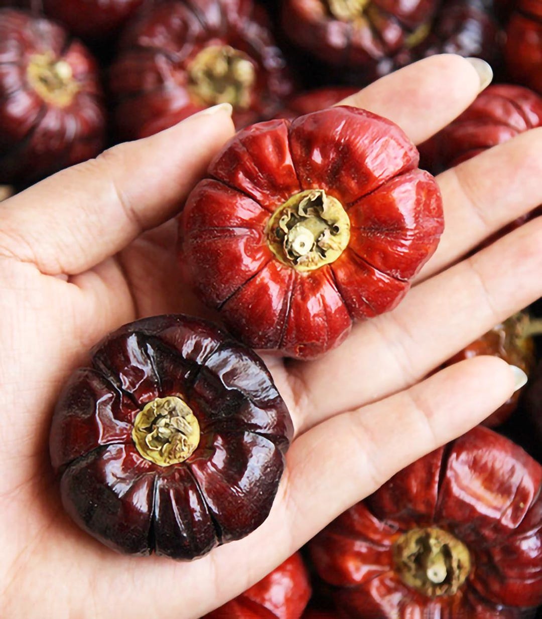 Dried Mini Pumpkins，natural Small Pumpkin Pepper，bowl Filler，fall Decor ...