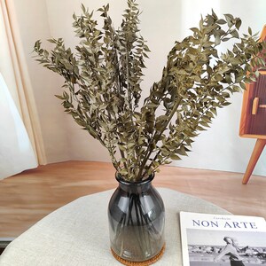 5 Pcs Natural Dried Ruscus Bunch Dry Italian Ruscus Branches, Home ...