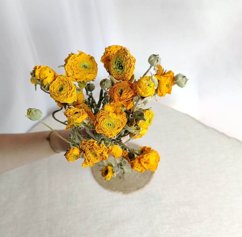 4 Color Dried Small Ranunculus Bunchdried Flower Bouquetdry - Etsy