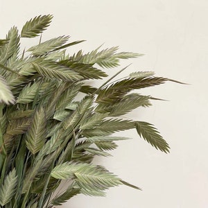 Natural Grass Bundle，special Grass Branches，dried Flowers Arrangement ...