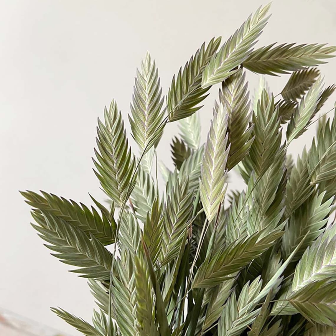 Natural Grass Bundlespecial Grass Branchesdried Flowers - Etsy