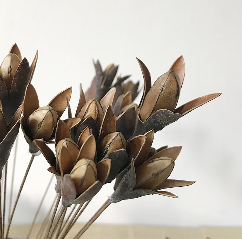 10 Sticks Small Magnolia Flower，natural Flowers，artificials Flowers ...