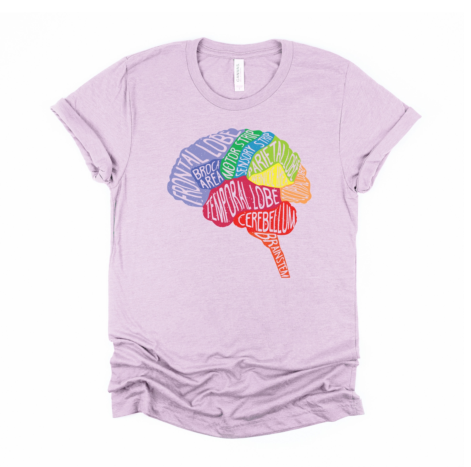 Brain Parts Tshirt Neurologist Shirt Neuroscience Tee - Etsy