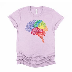 Brain Parts Tshirt, Neurologist Shirt, Neuroscience Tee, Neuron RN ...