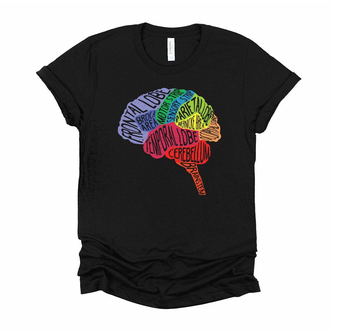 Brain Parts Tshirt Neurologist Shirt Neuroscience Tee - Etsy
