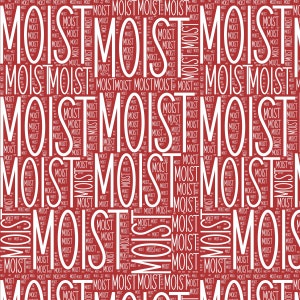 Funny Moist Word Gift Wrap Annoying Christmas Wrapping Paper Joke Gag ...