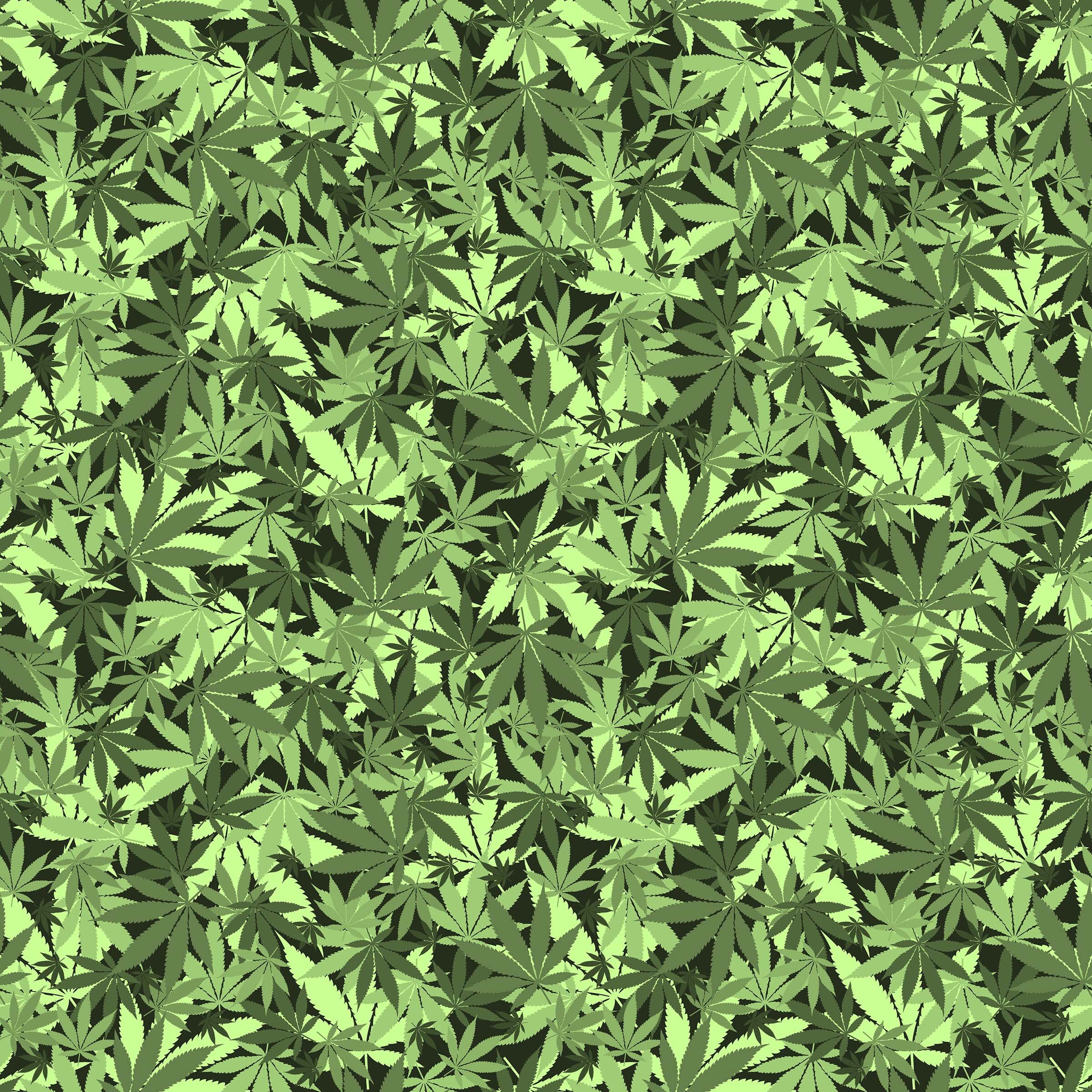 Green Marijuana Leaf Cannabis Wrapping Paper Roll Dope Dispensary Gift ...