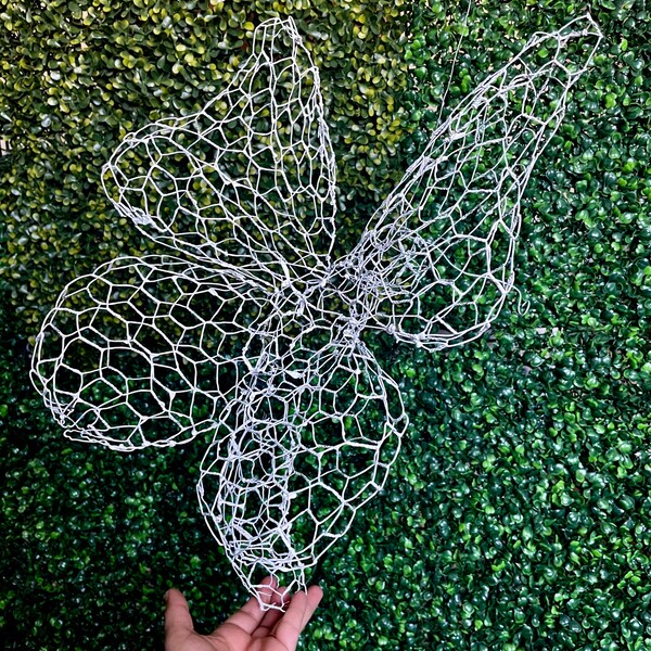 Topiary Frames - Etsy