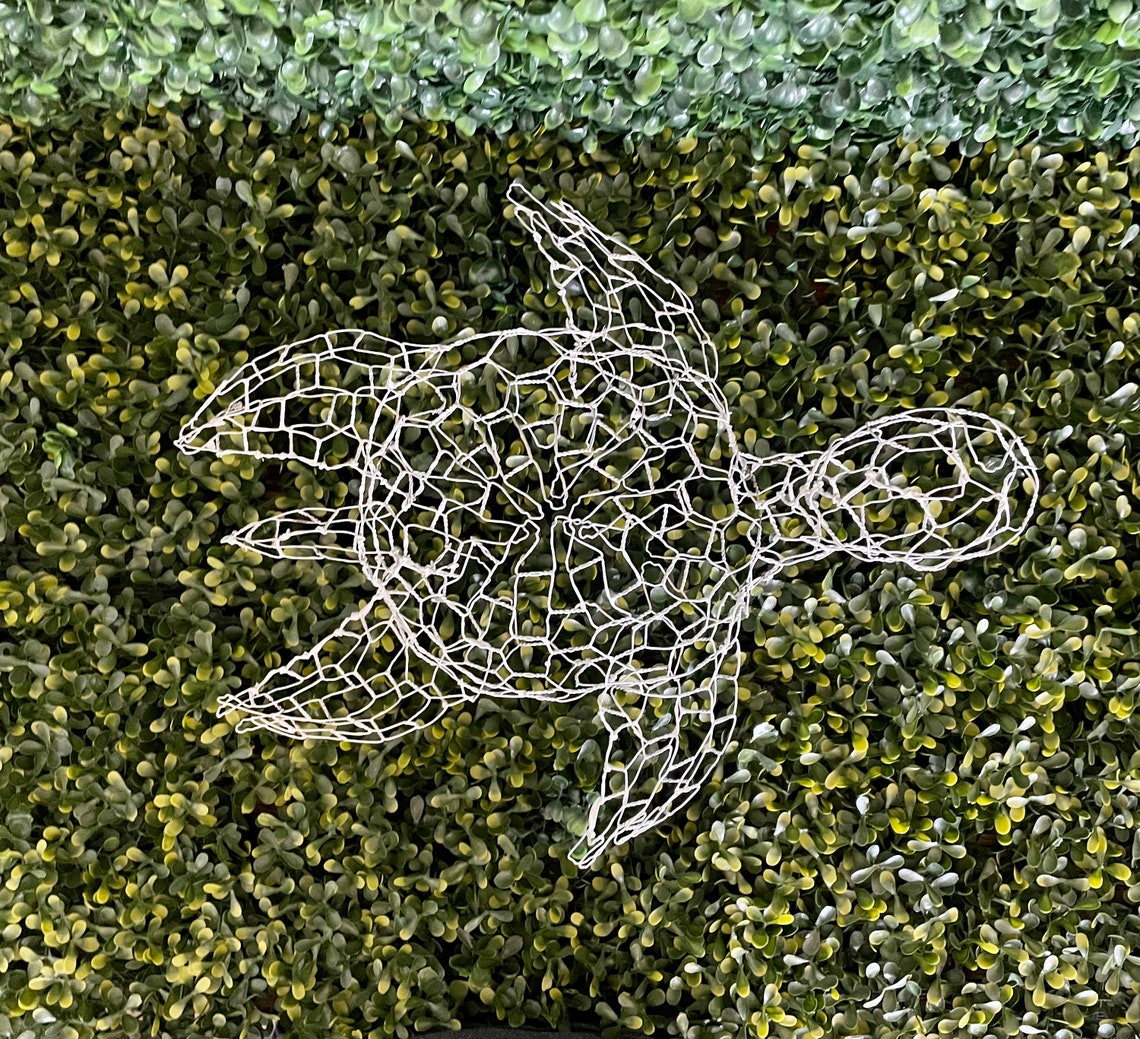 Baby Turtle Topiary Frame - Etsy