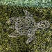 Baby Turtle Topiary Frame - Etsy
