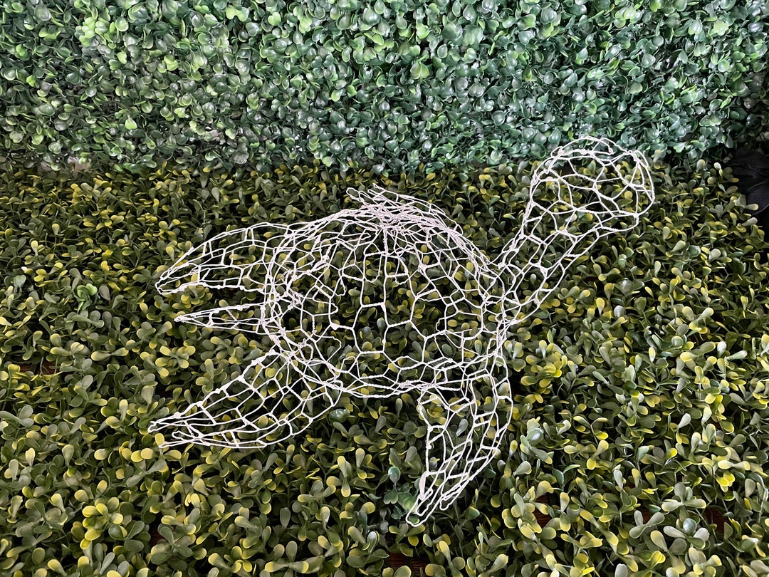 Baby Turtle Topiary Frame - Etsy