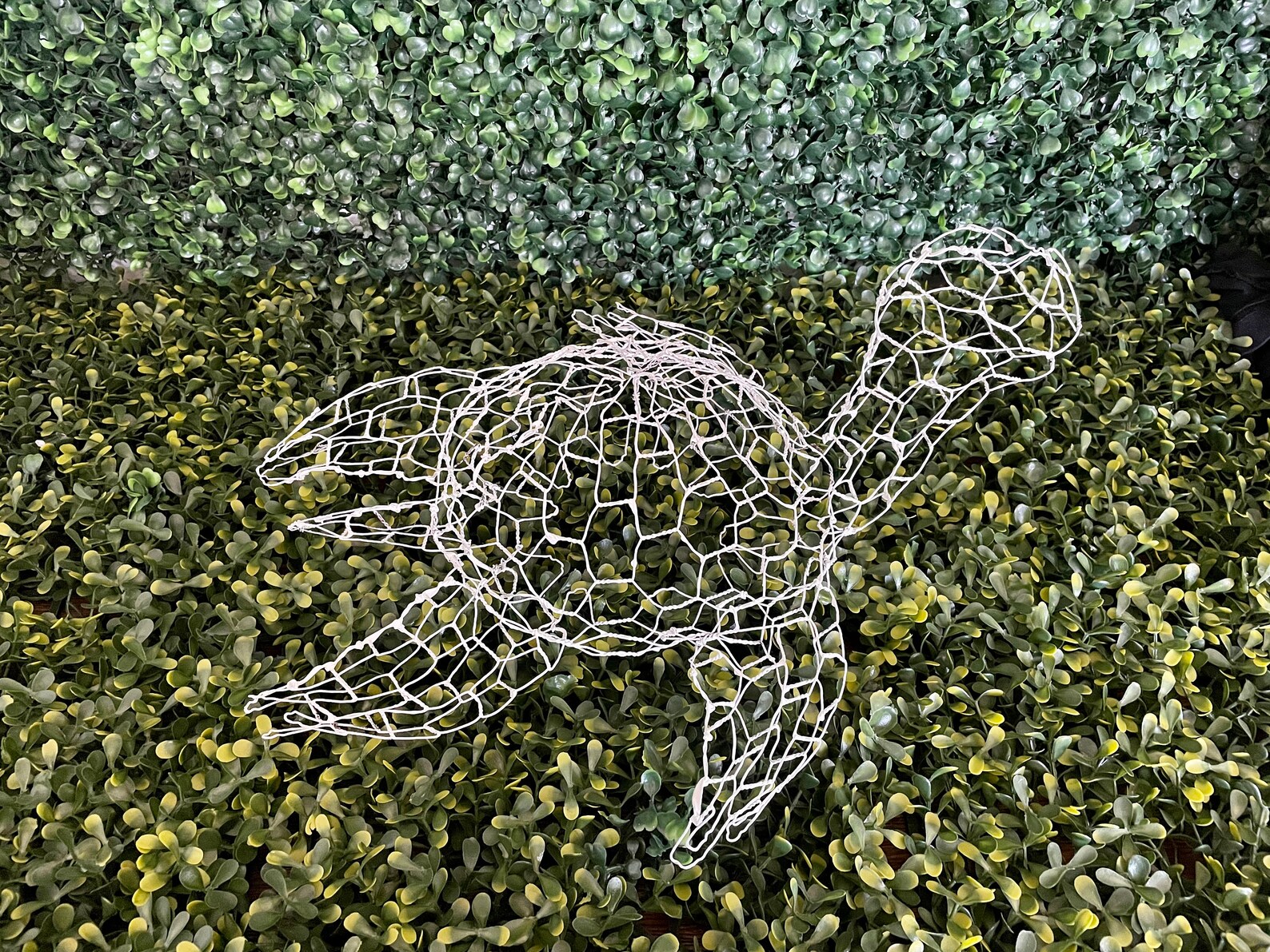 Baby Turtle Topiary Frame - Etsy