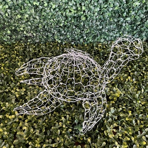 Baby Turtle Topiary Frame - Etsy