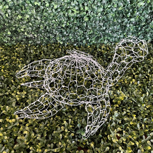 Baby Turtle Topiary Frame - Etsy