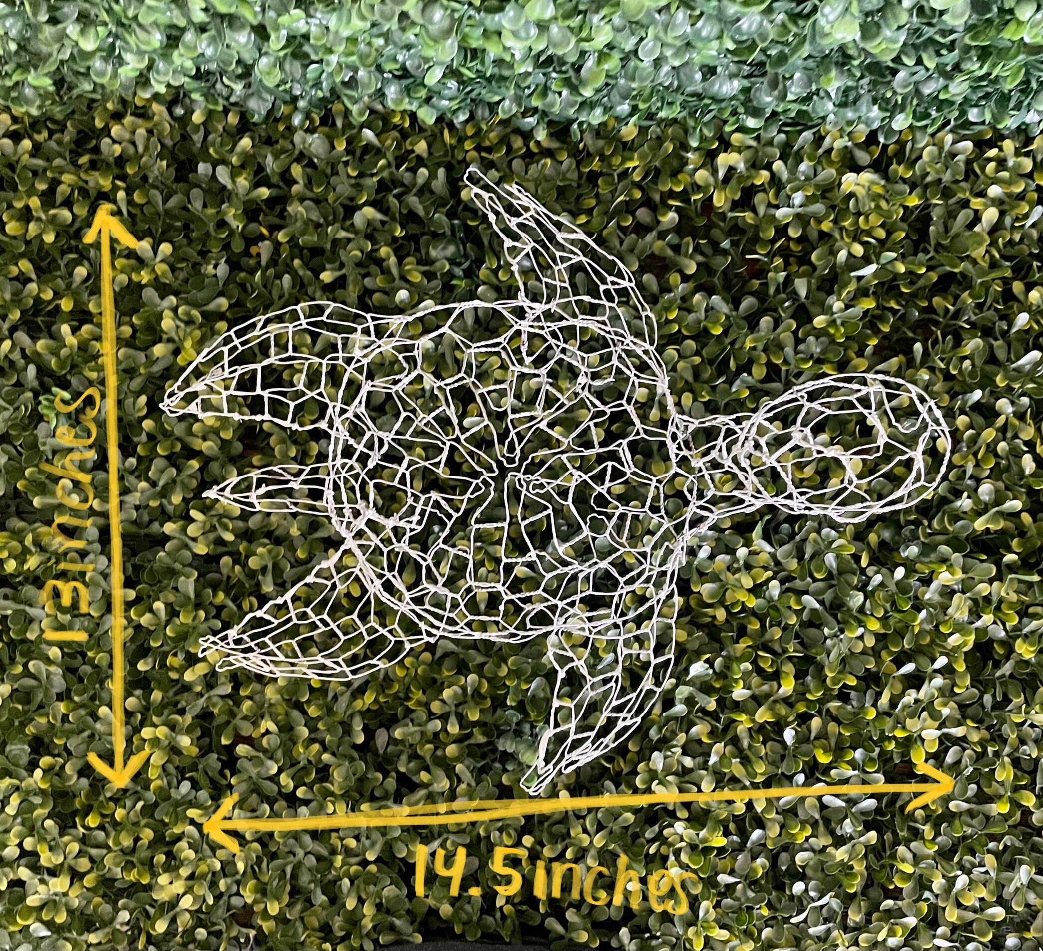 Baby Turtle Topiary Frame - Etsy