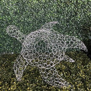 Turtle Topiary Frame - Etsy