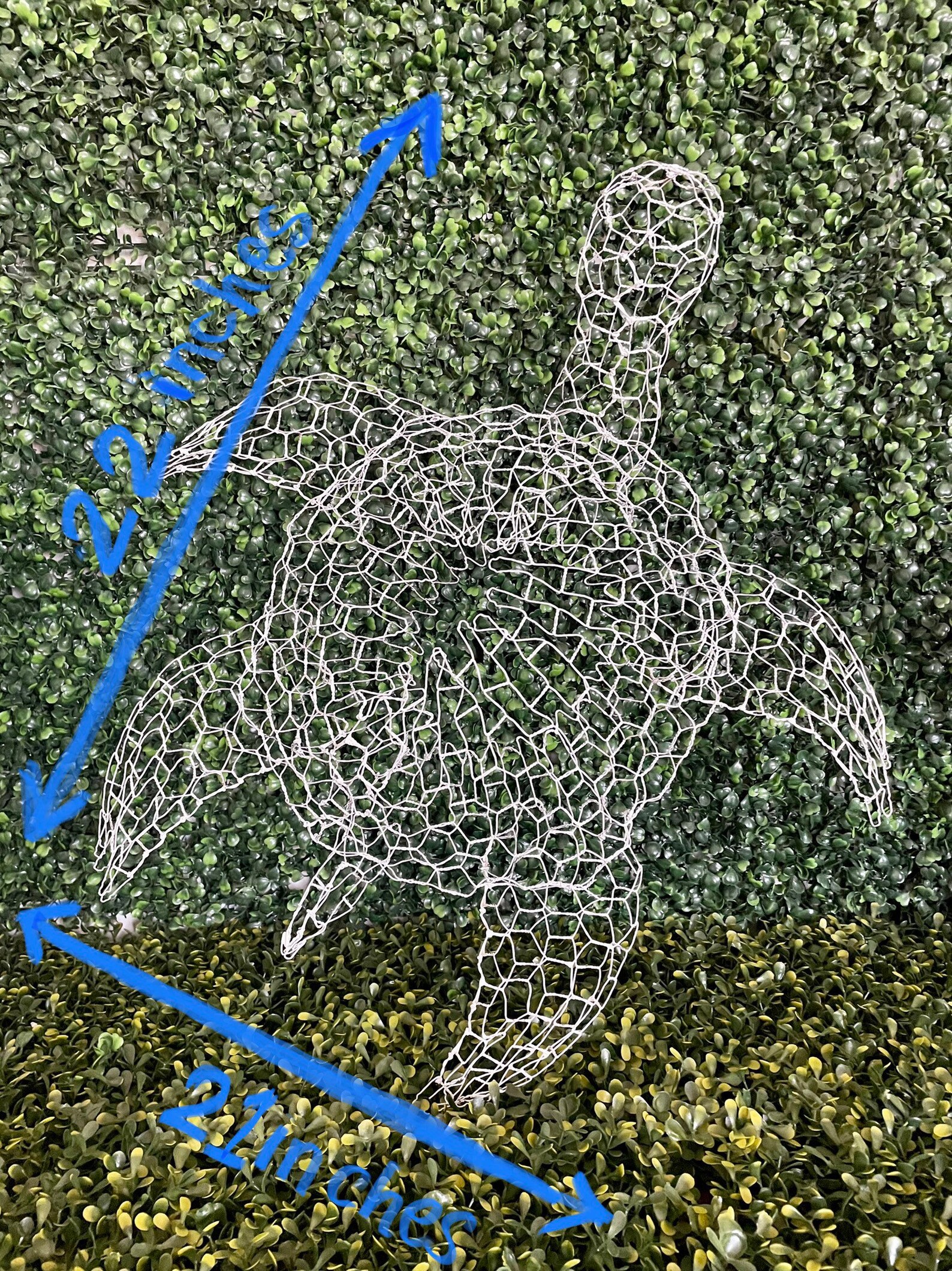 Turtle Topiary Frame - Etsy