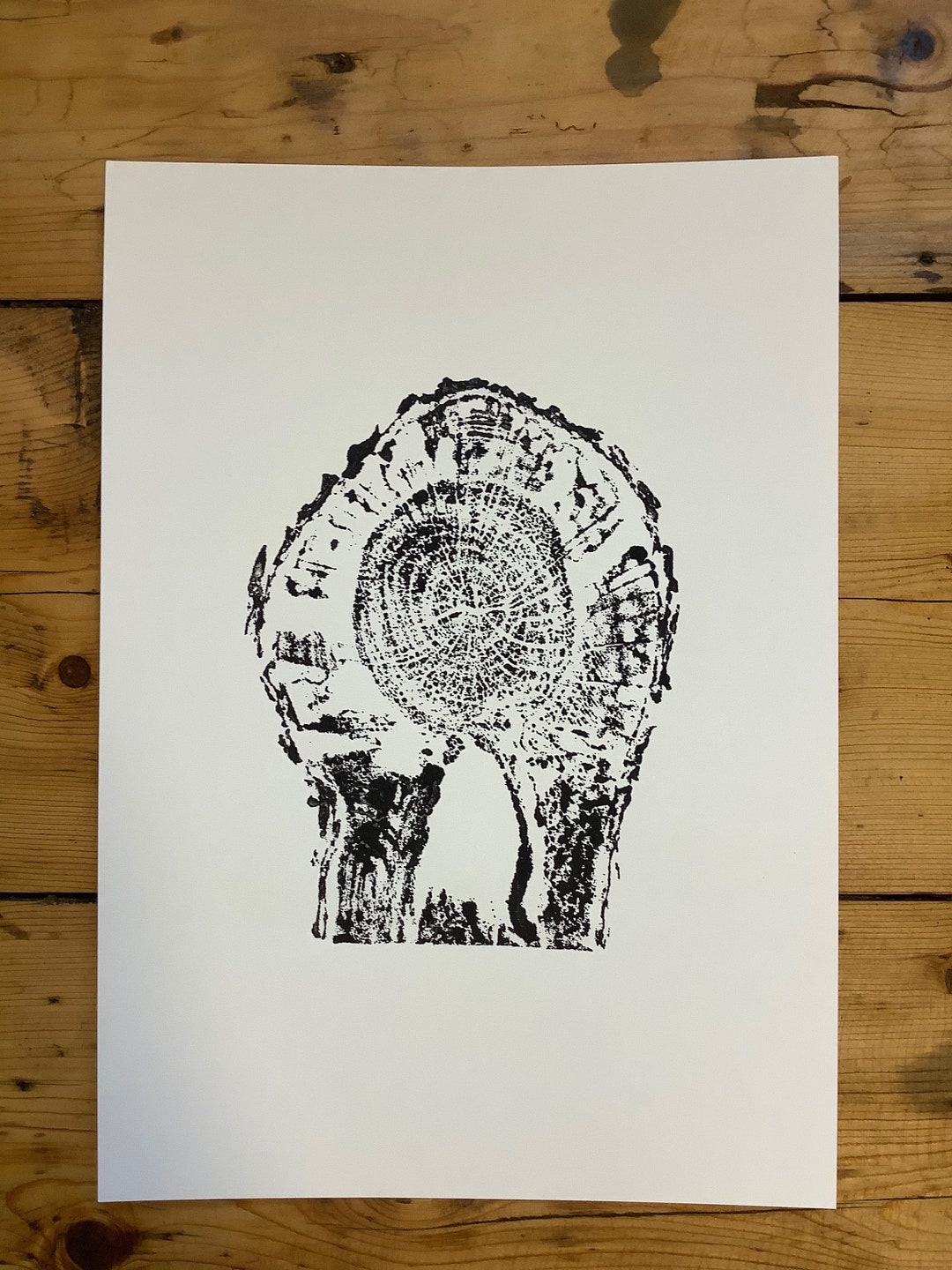 Birnam Oak A4 the Gate Way Tree Ring Original Artwork Macbeth ...