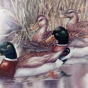 Vintage Anni Moller Lithograph Signed Stamped Mallards Art Print ...