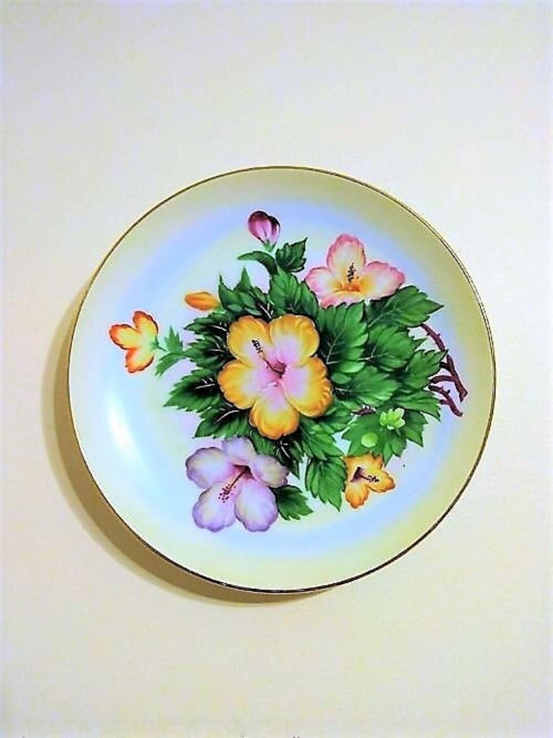 Vintage Japan Porcelain Floral 9" Hand Painted Plate/wall Decor - Etsy