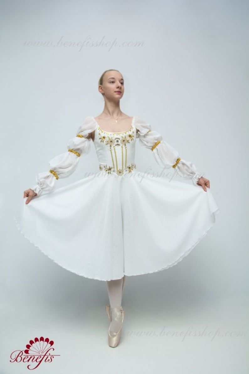 Stage Ballet Costume- F0351. Professional Balet Costume for Adults and ...