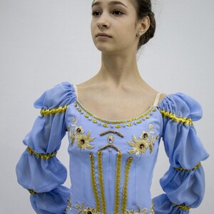 Stage Ballet Costume- F0351. Professional Balet Costume for Adults and ...