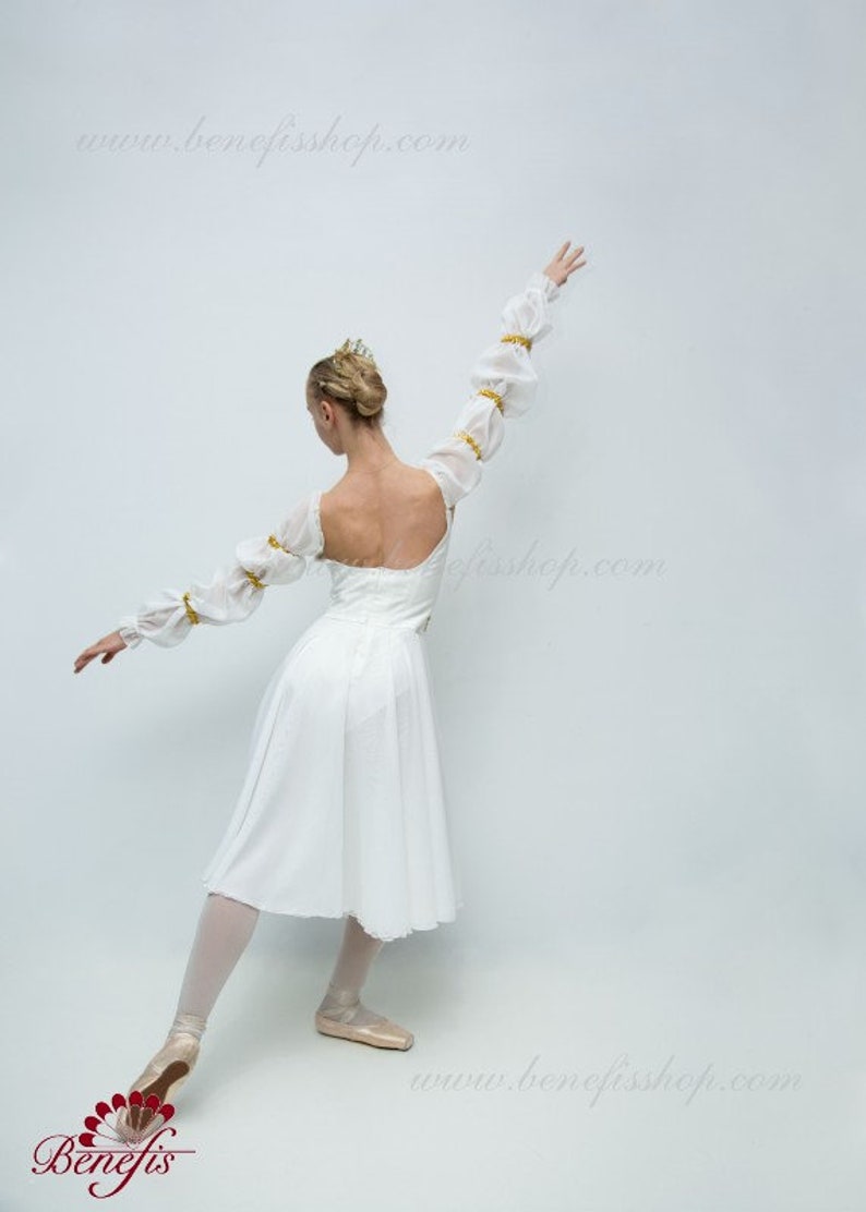Stage Ballet Costume- F0351. Professional Balet Costume for Adults and ...