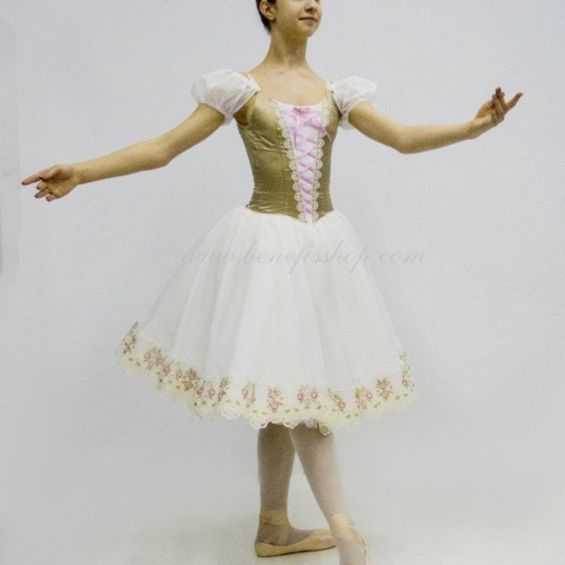 Ballet Tutu Dress - Etsy