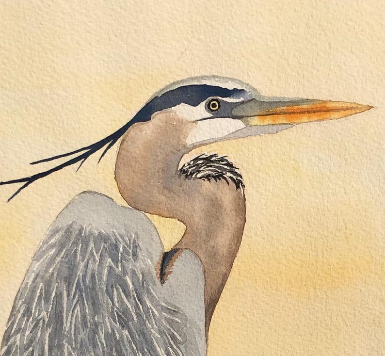 Great Blue Heron Watercolor Giclée Print - Etsy