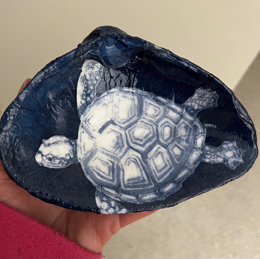 Sea Turtle Decoupage Sea Shell Trinket Dish - Etsy
