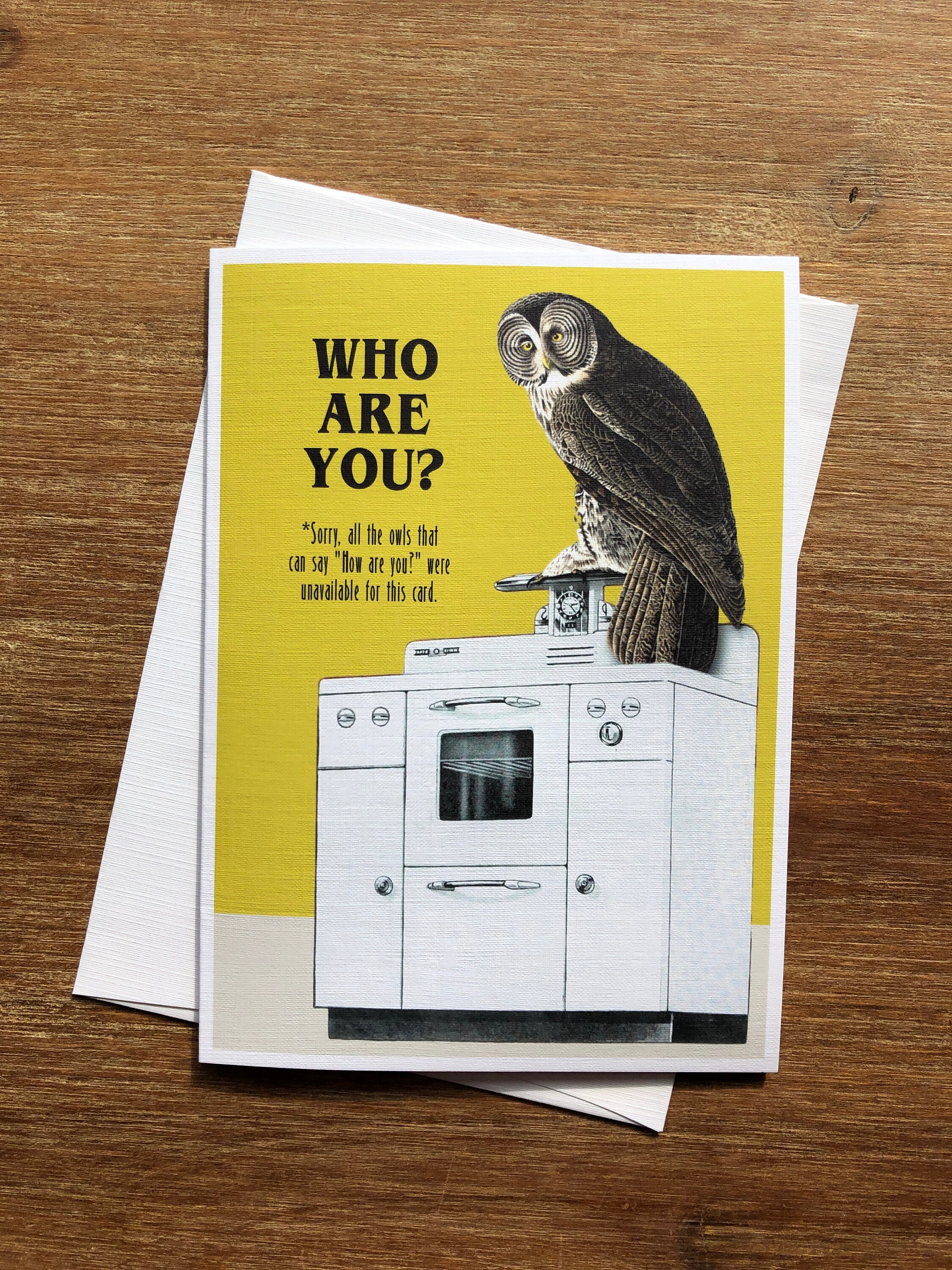Who are you/How are you owl Card funny greeting card bird | Etsy