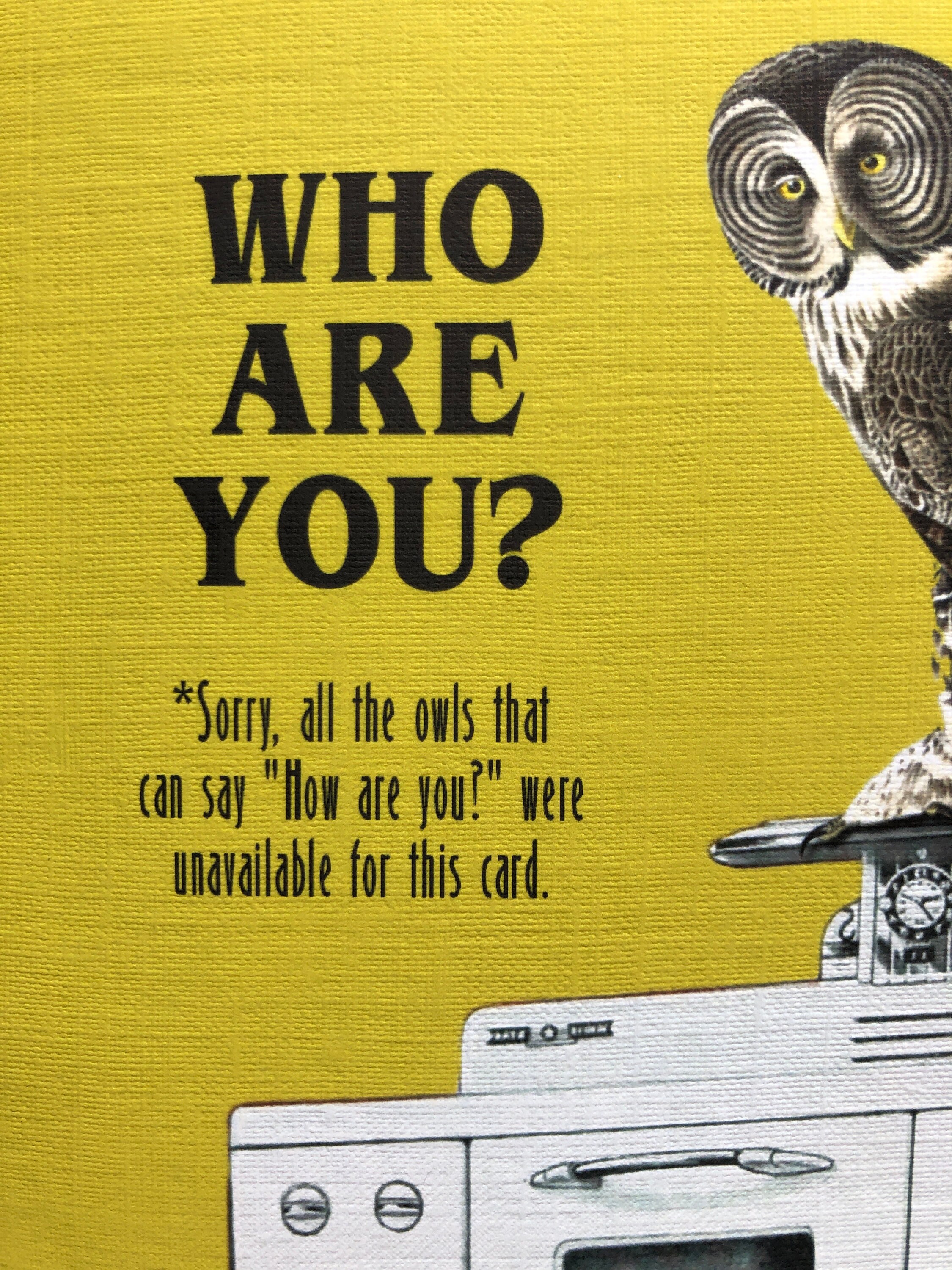 Who are you/How are you owl Card funny greeting card bird | Etsy