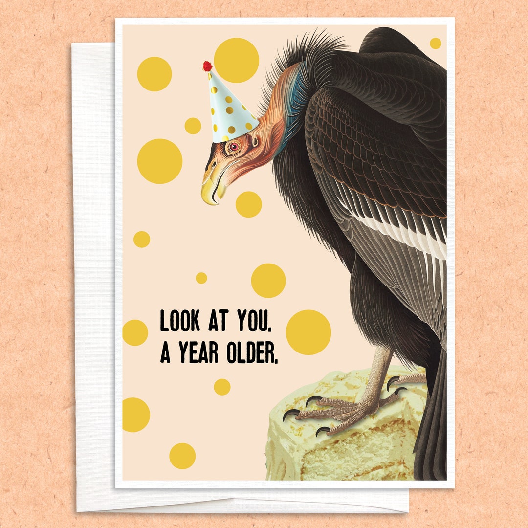 Vulture Birthday Card, Funny Greeting Card, Humor Bday, Bird Card ...